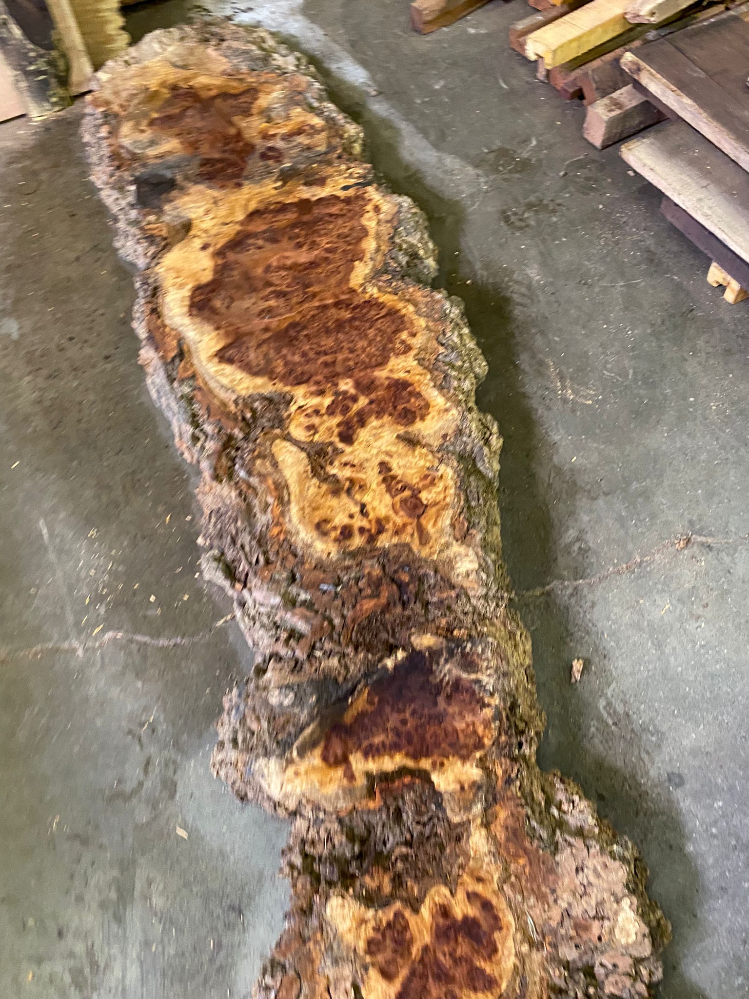 Cotton Wood Live Edge Slabs – California Exotic Hardwoods