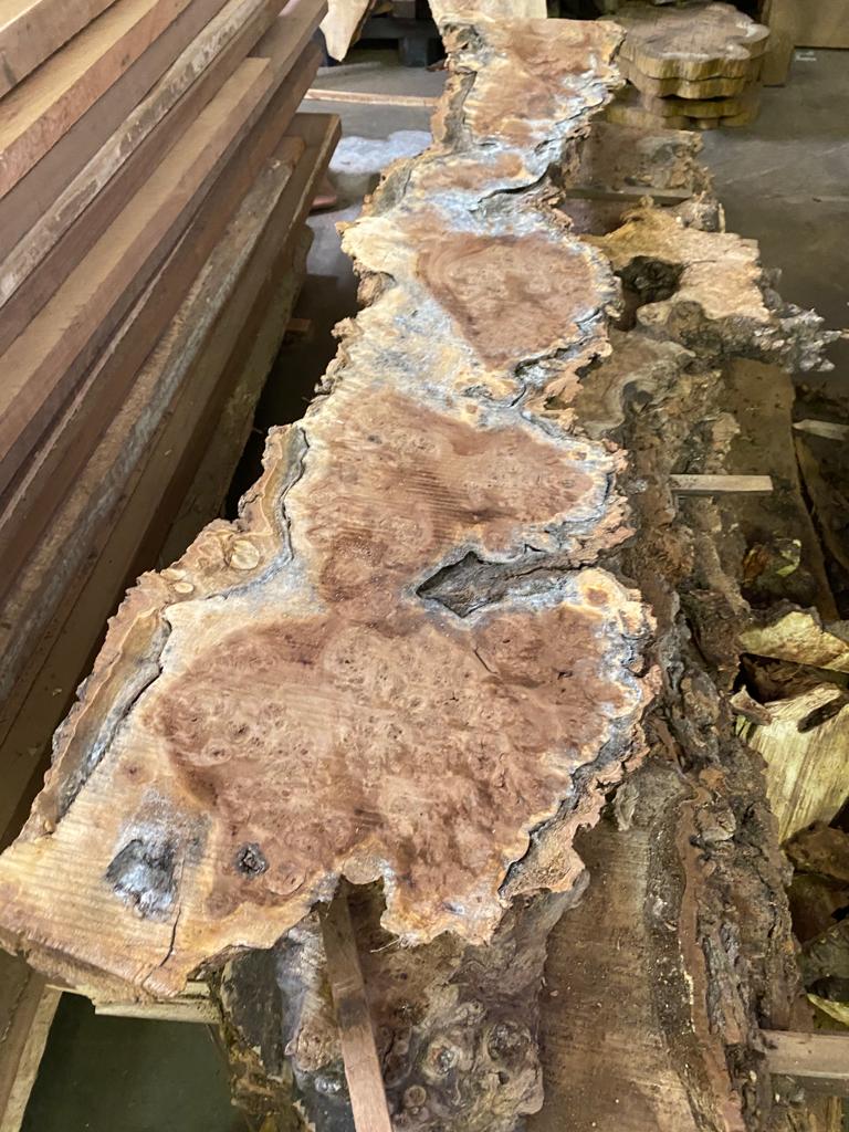 Cotton Wood Burl Slabs # No.6 – California Exotic Hardwoods